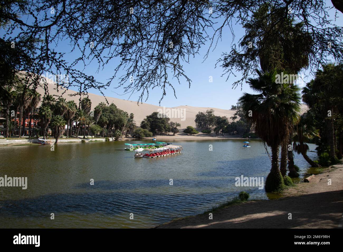 Huacachina oasis in Ica desert Peru Stock Photo - Alamy
