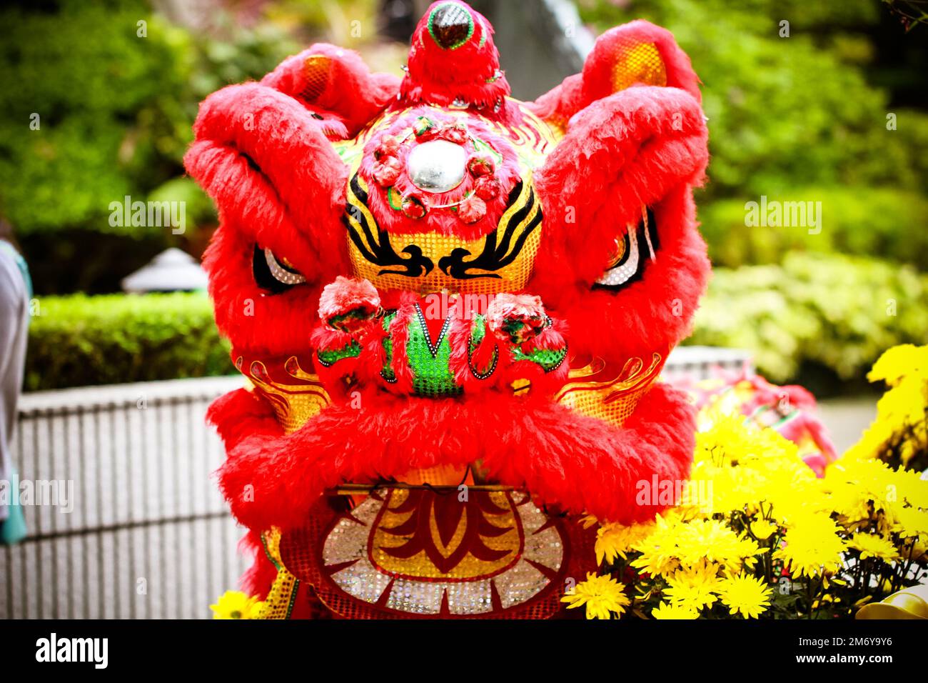 A closeup of a traditional Chinese dragon at a festival Stock Photo - Alamy