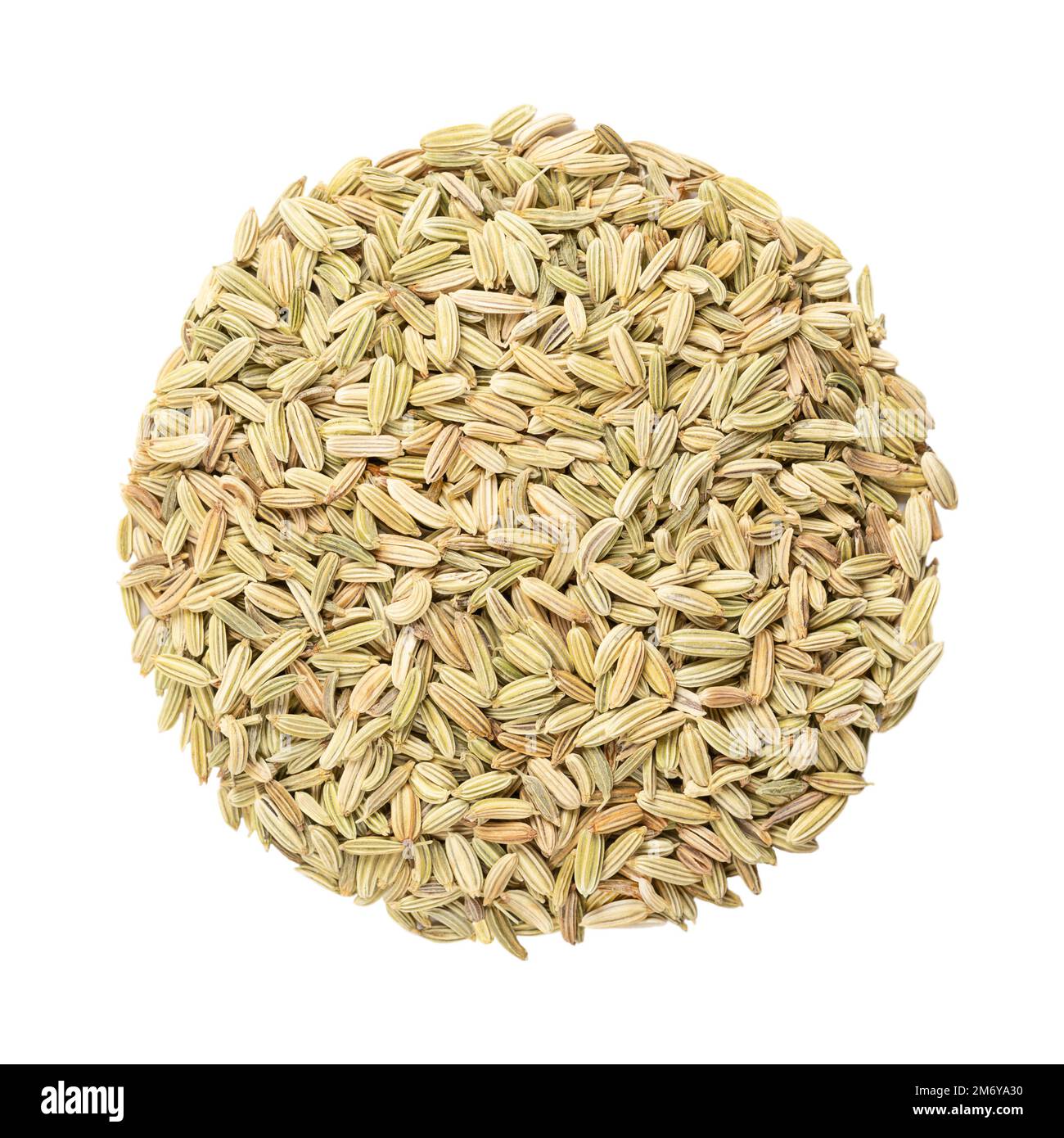 Fennel seeds, circle, close-up, isolated, from above. Disk made of ...