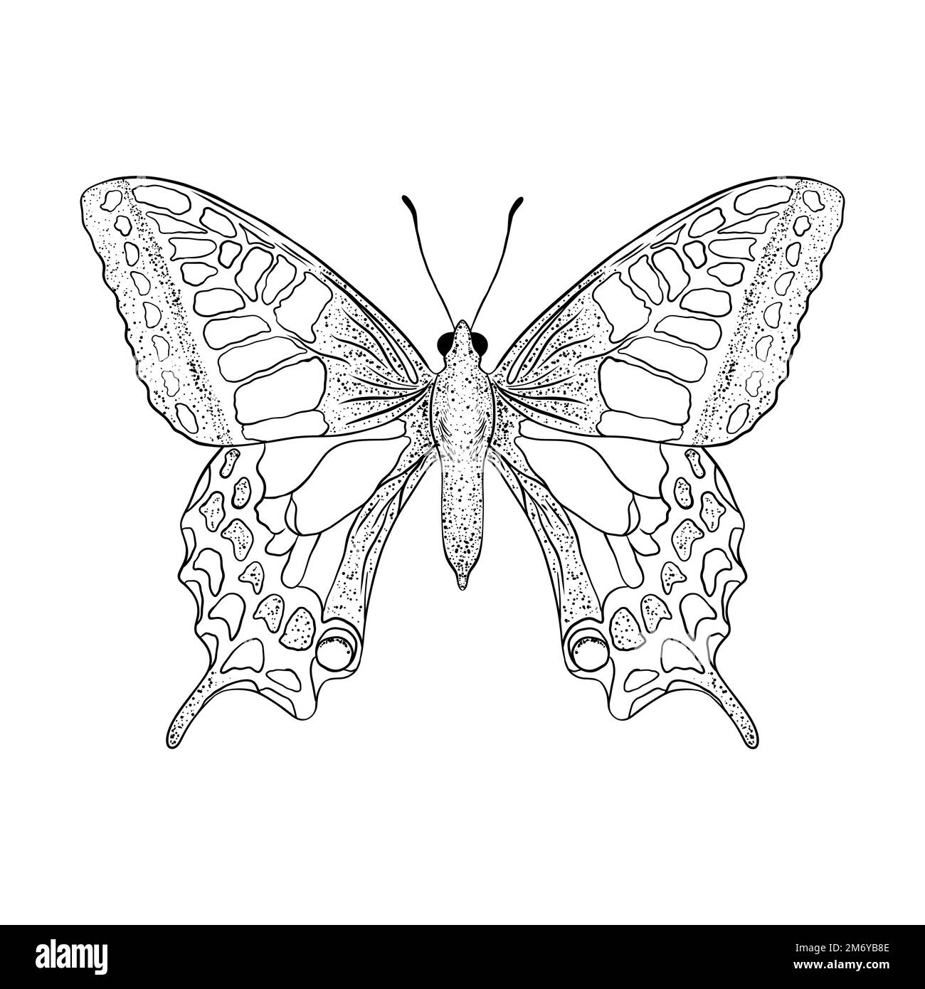 Swallowtail Butterfly Coloring Book Pages