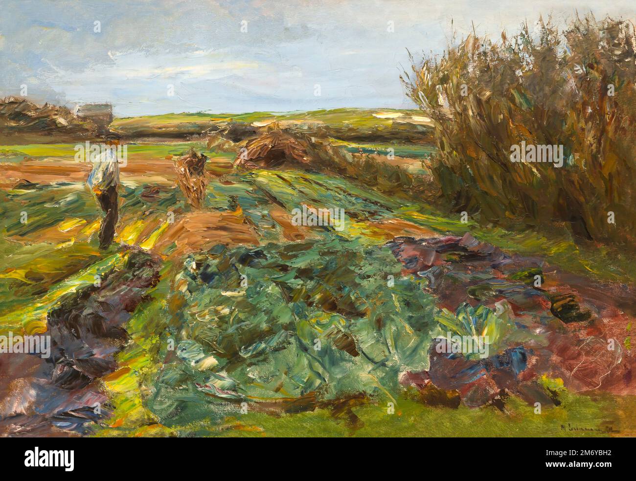 Cabbage Field, Max Liebermann, 1912, Galerie Neue Meister, Albertinum ...
