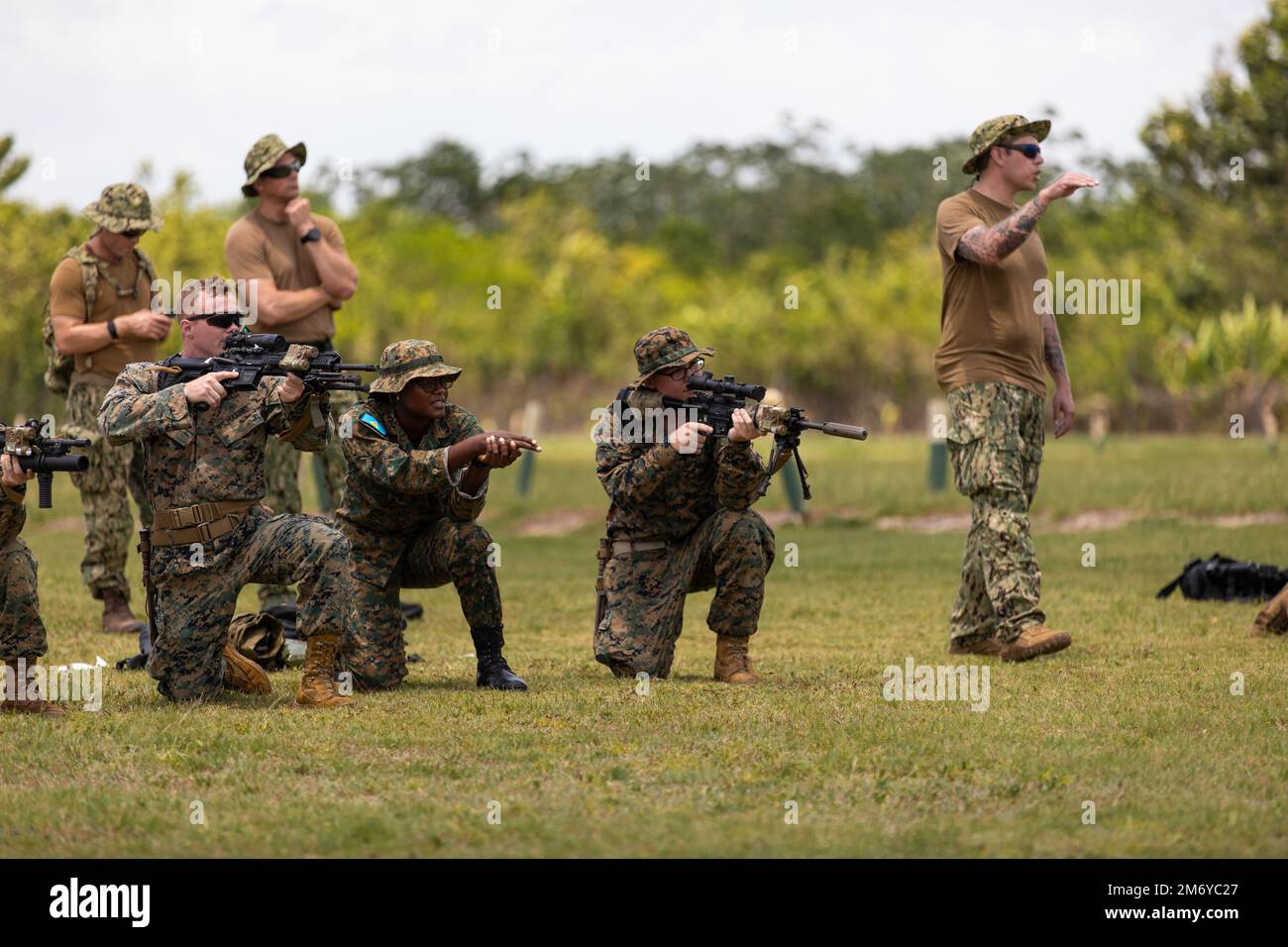 Service members from partner nations train to react to casualties under ...