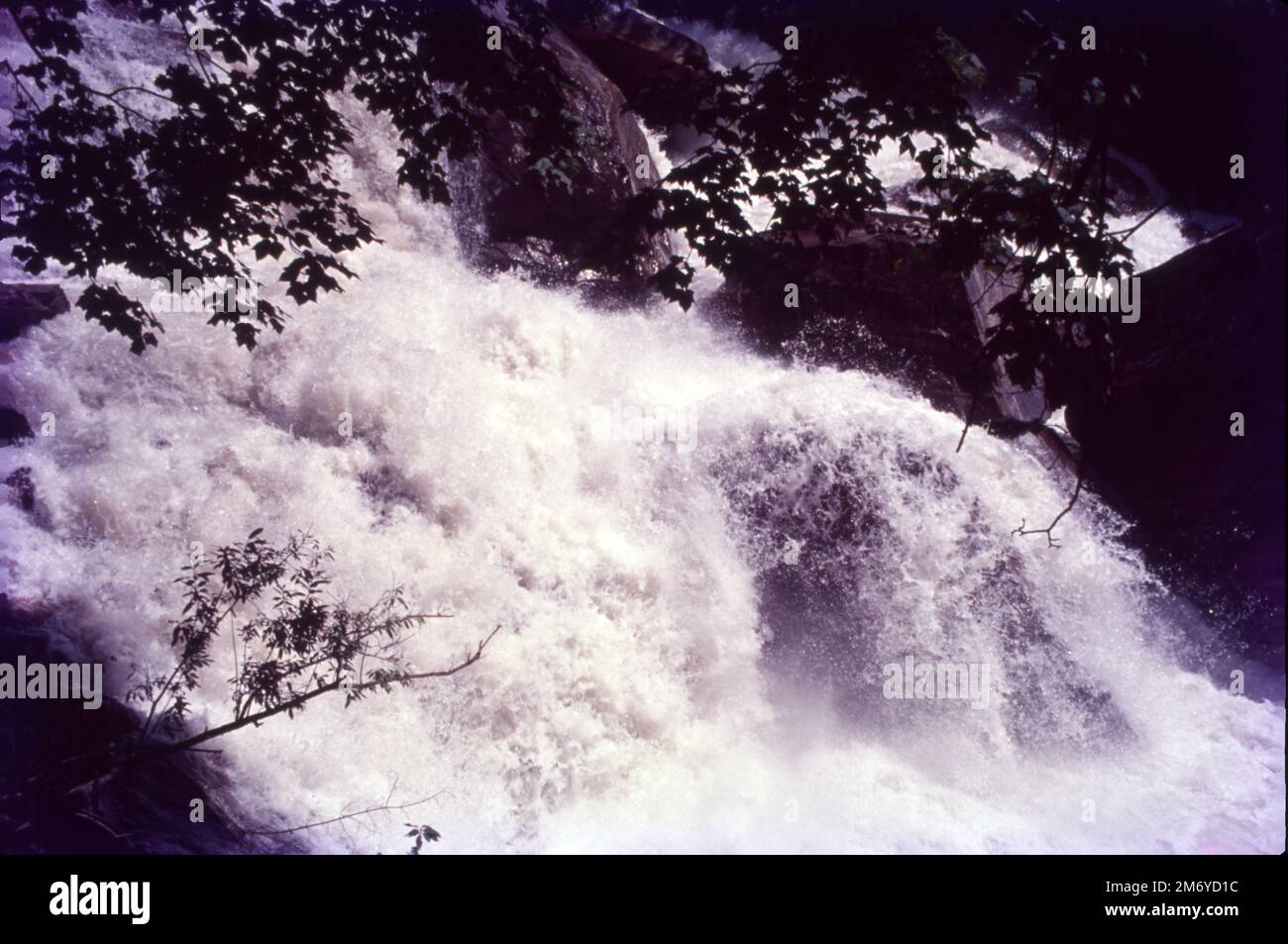 Govindghat is a tiny town in Uttaranchal India and it is present at the ...