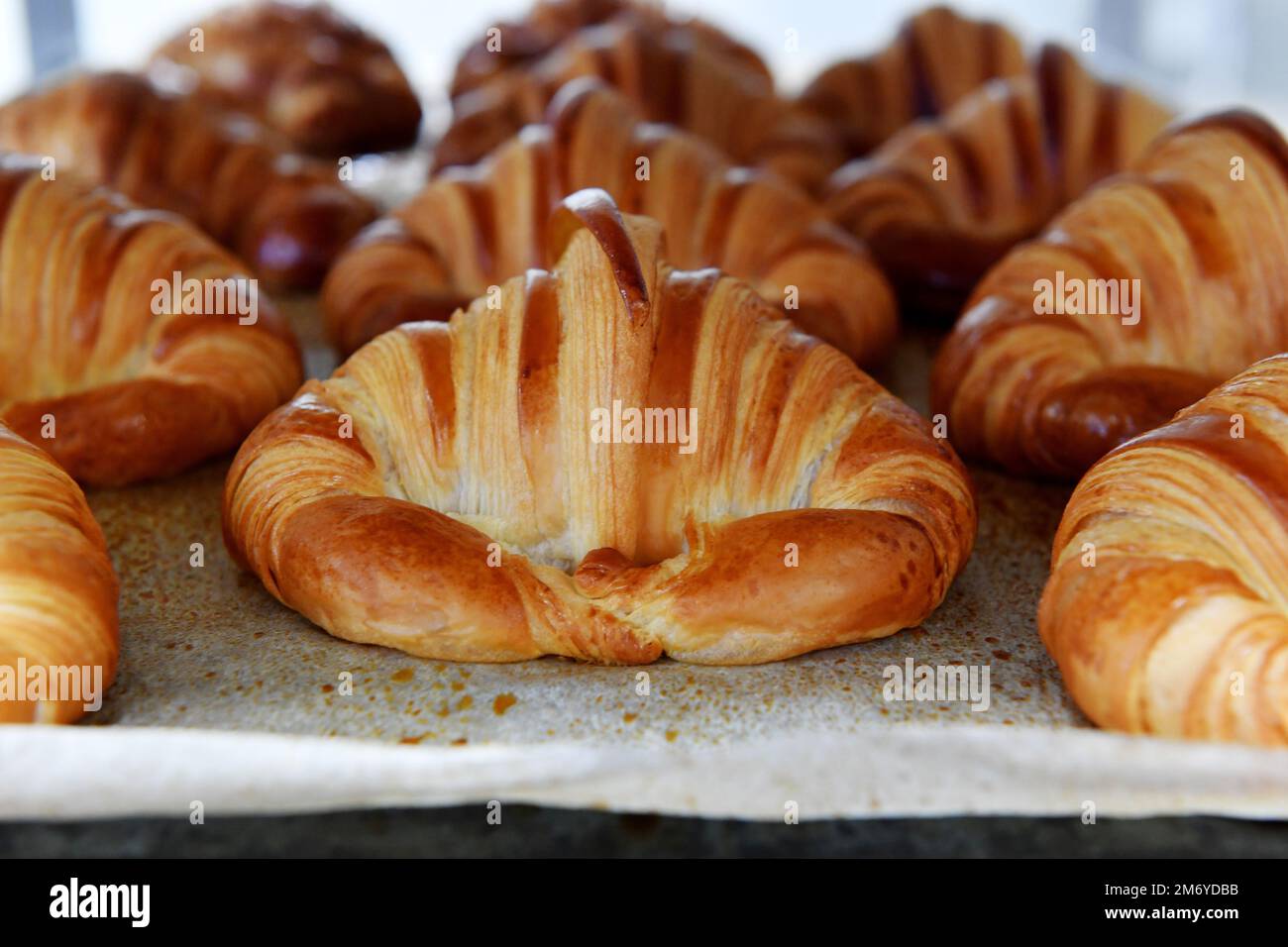 Croissant in a bakery - France Stock Photo - Alamy