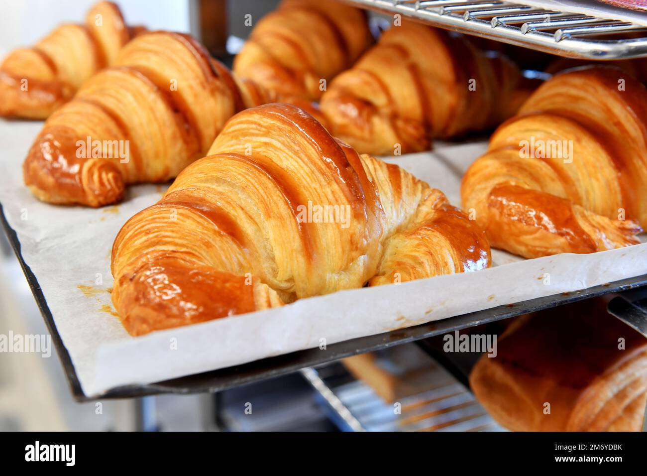 Bakery dough roll bakeries hi-res stock photography and images - Alamy