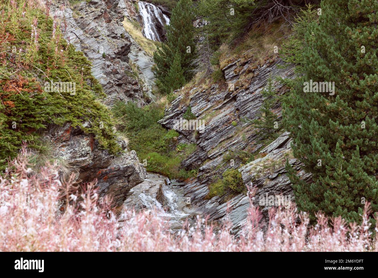 Alpine waterfall rushes along granite gorge covered with green forest ...