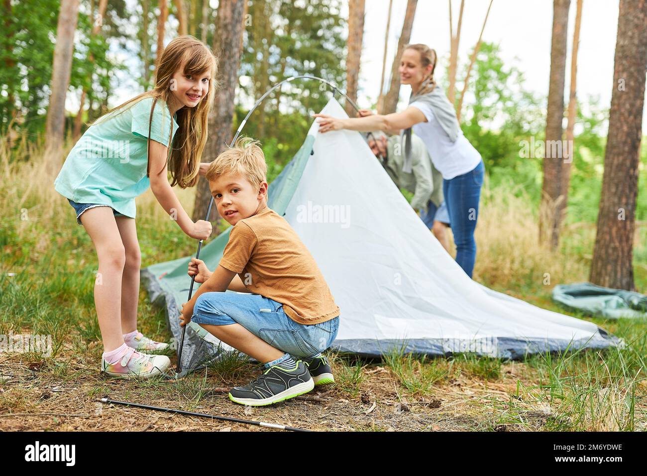 Siblings setting up tent for camping with parents in forest during ...