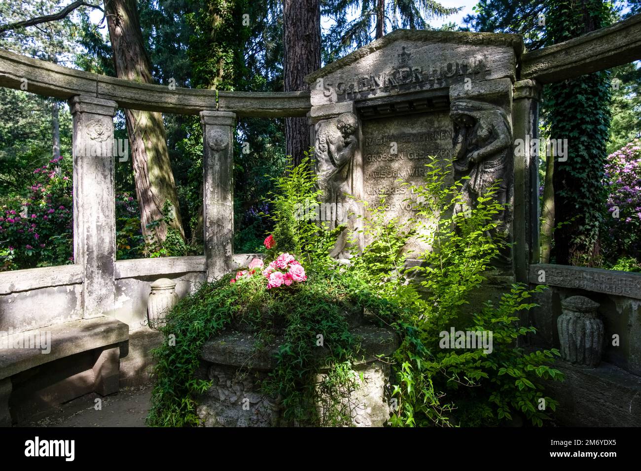 Historic grave site, overgrown with green bushes and red roses, in the ...
