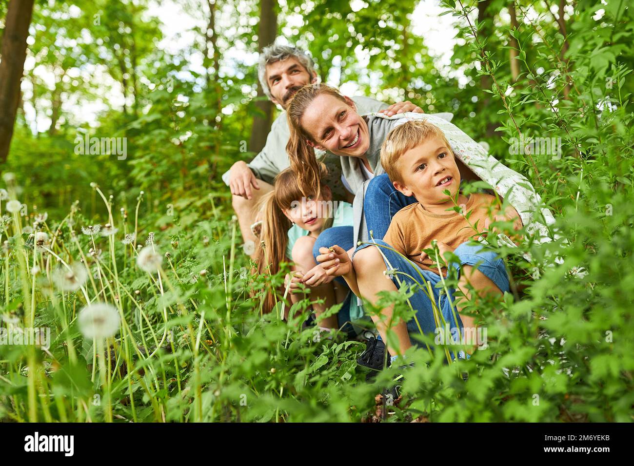Happy family exploring together in green forest during summer vacation ...