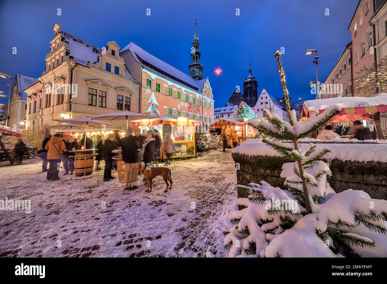 Pirna christmas market, located on the historical market square with ...