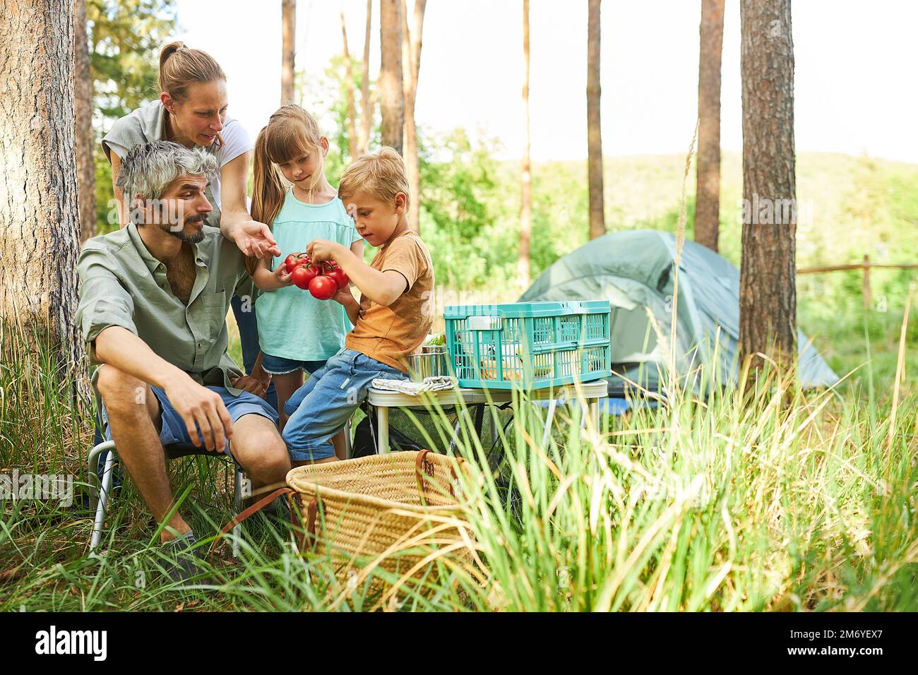 Family examining tomatoes held by boy during camping at forest in ...