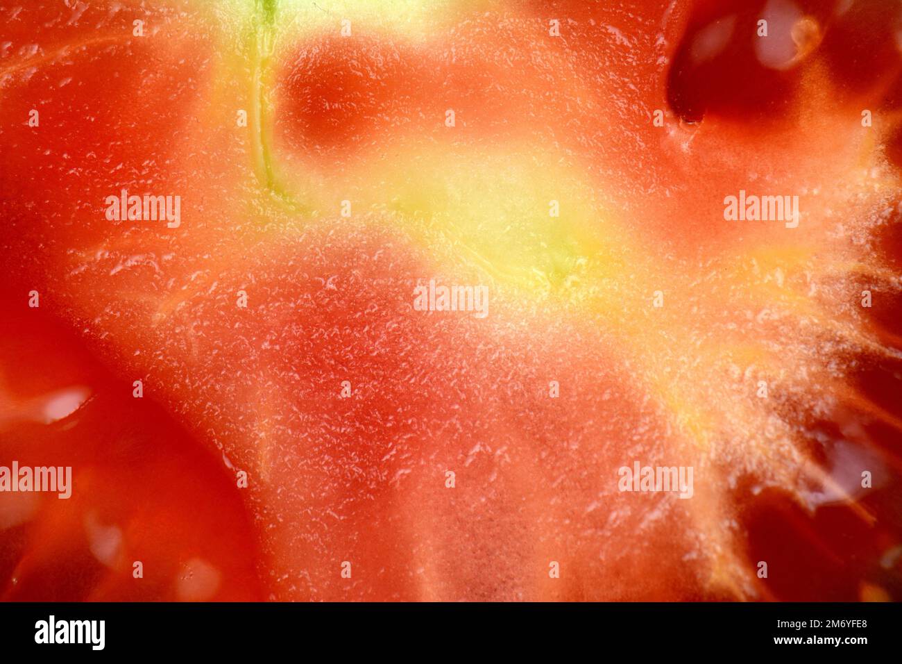 Macro Tomato texture. Very close up tomato texture, full frame ...