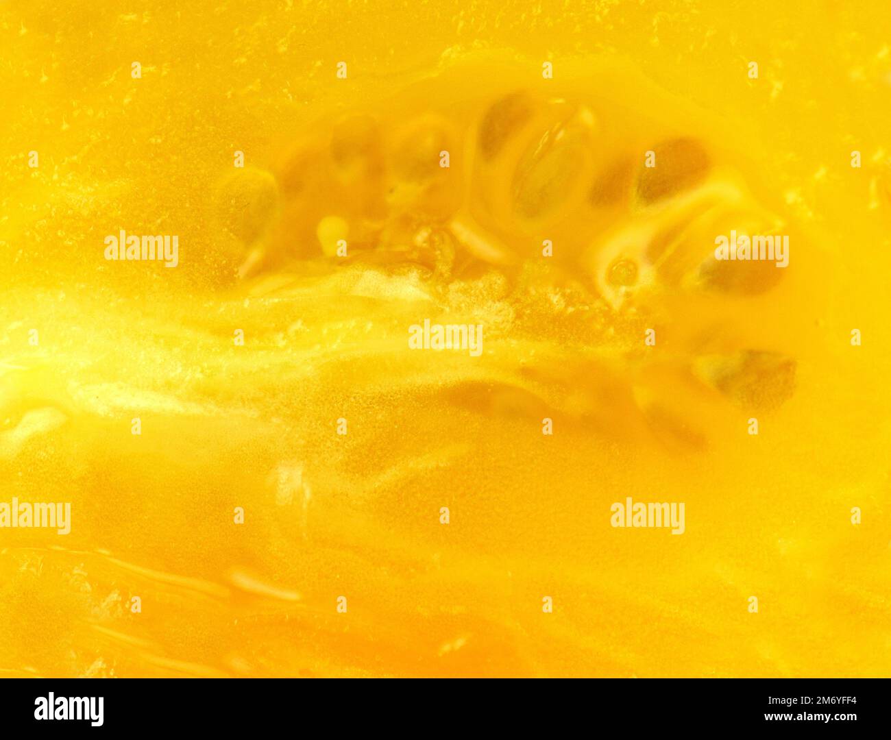 Macro Tomato texture. Very close up tomato texture, full frame ...