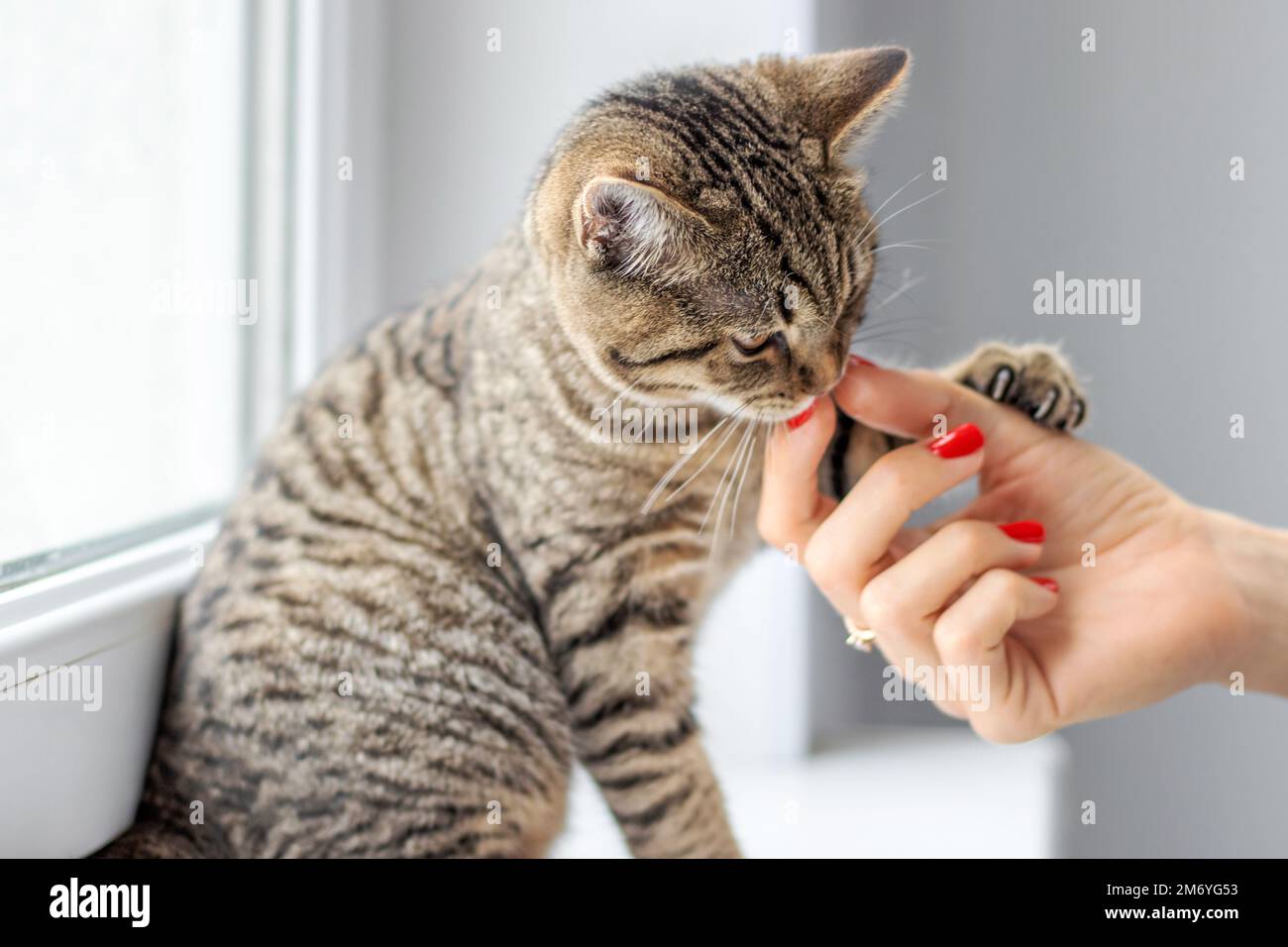 Hand scratching window hi-res stock photography and images - Alamy