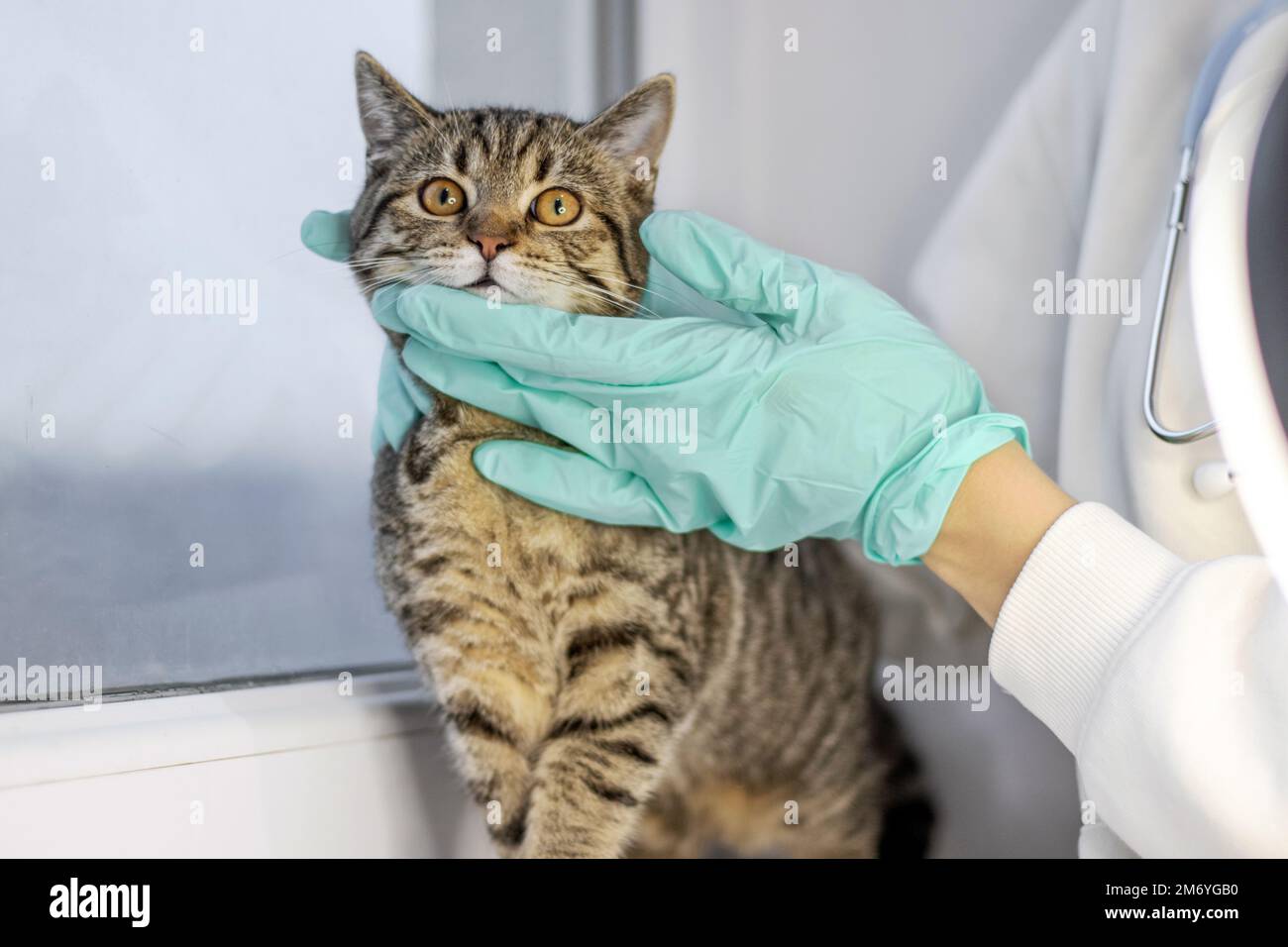 Open wide window in hi-res stock photography and images - Alamy