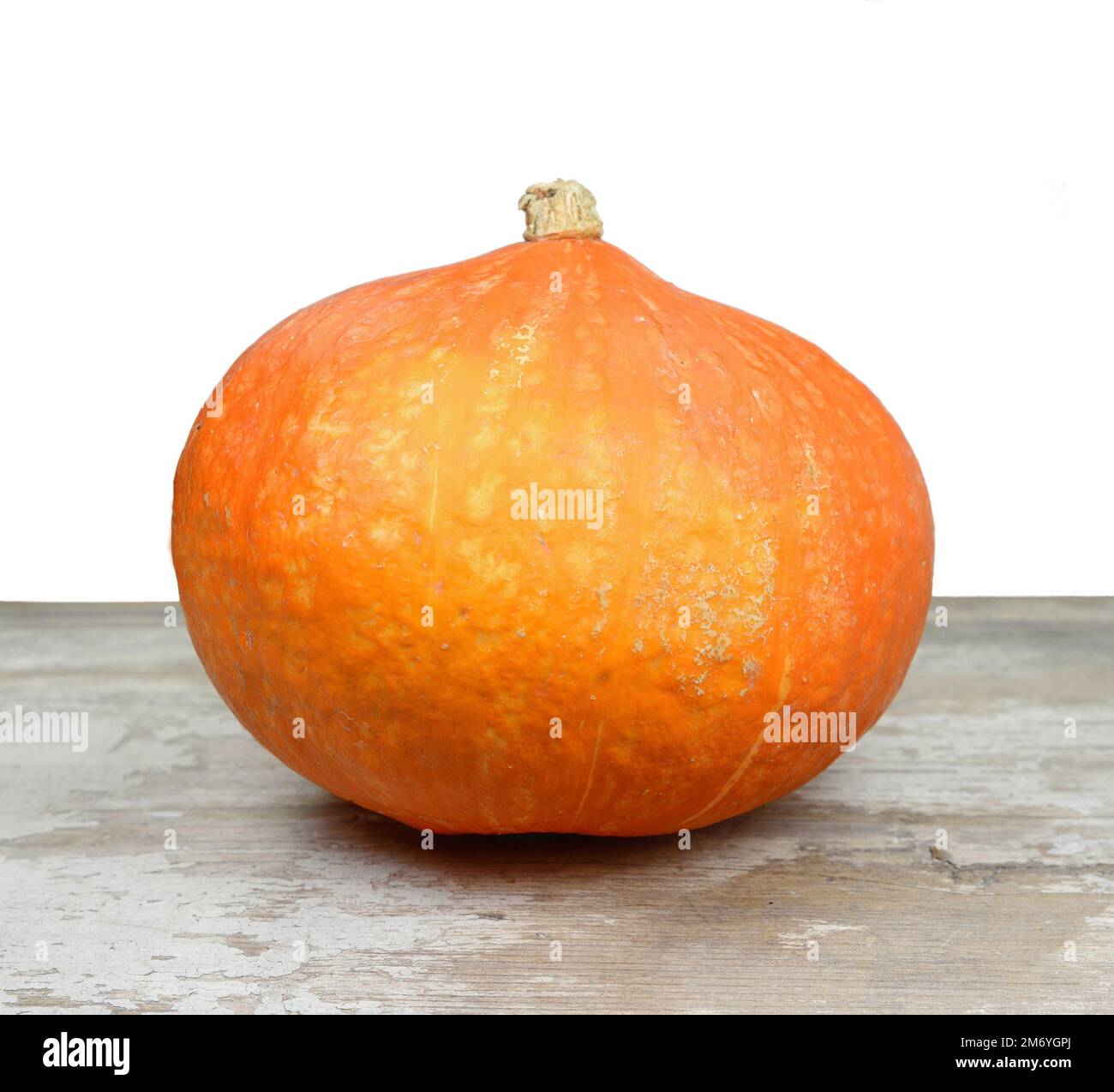 red kuri squash isolated on white background. Fresh red hokkaido ...