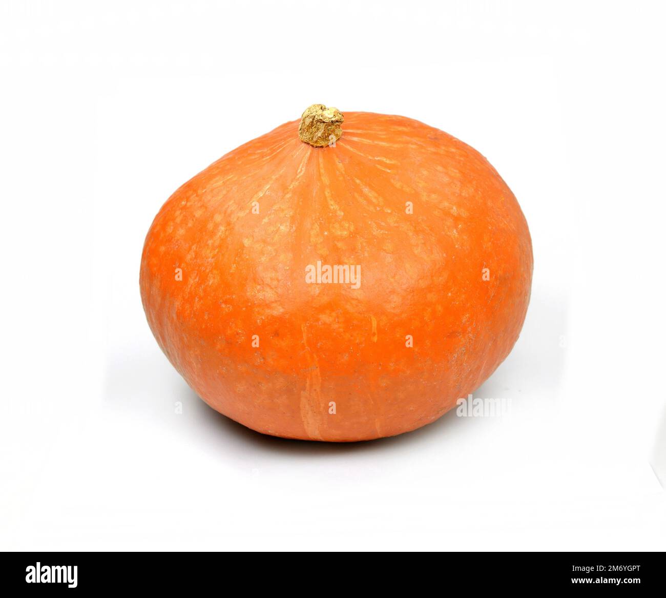 red kuri squash isolated on white background. Fresh red hokkaido ...