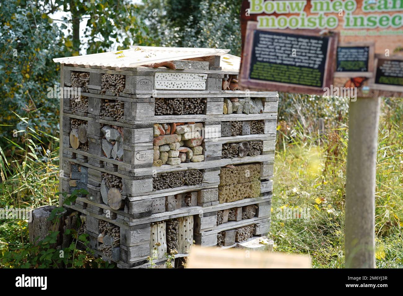 Artificial beehive hi-res stock photography and images - Alamy