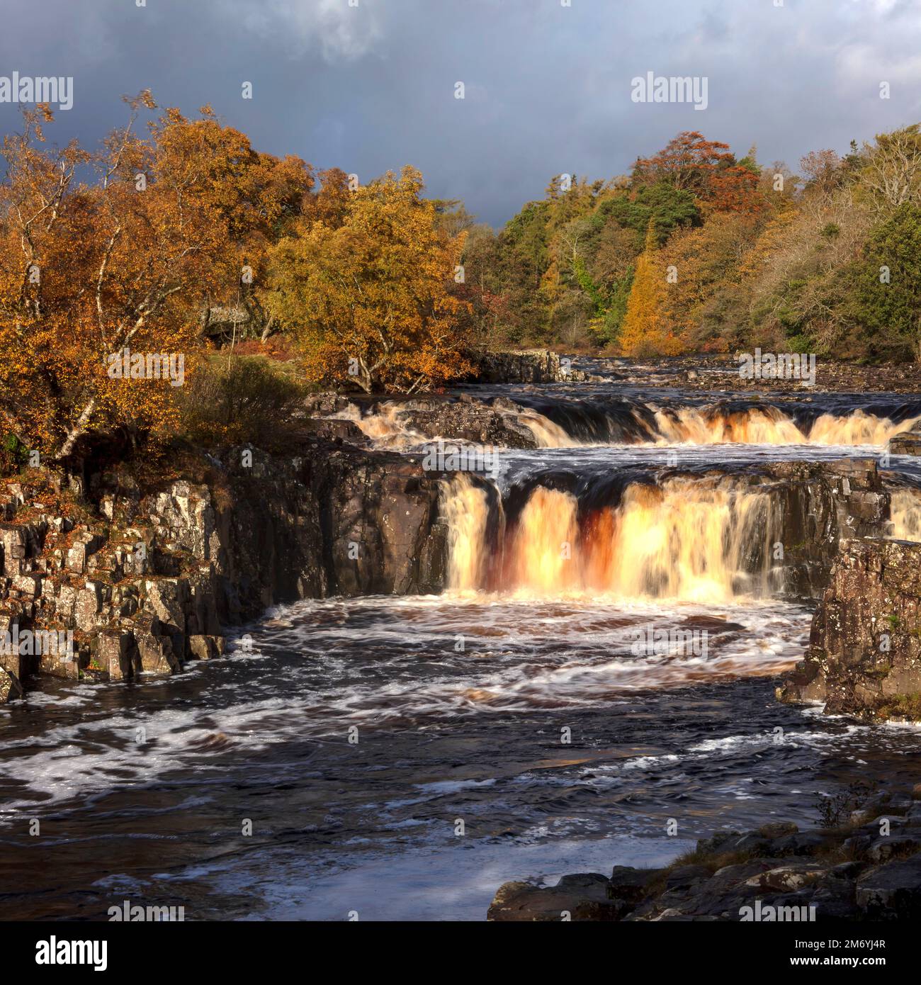 Low Force Waterfall in Autumn, Teesdale, County Durham, England, United ...