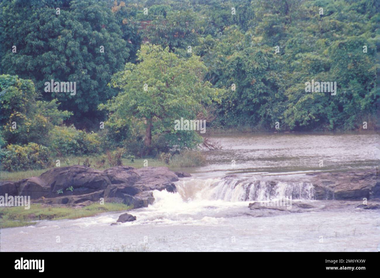 Vapi hi-res stock photography and images - Alamy