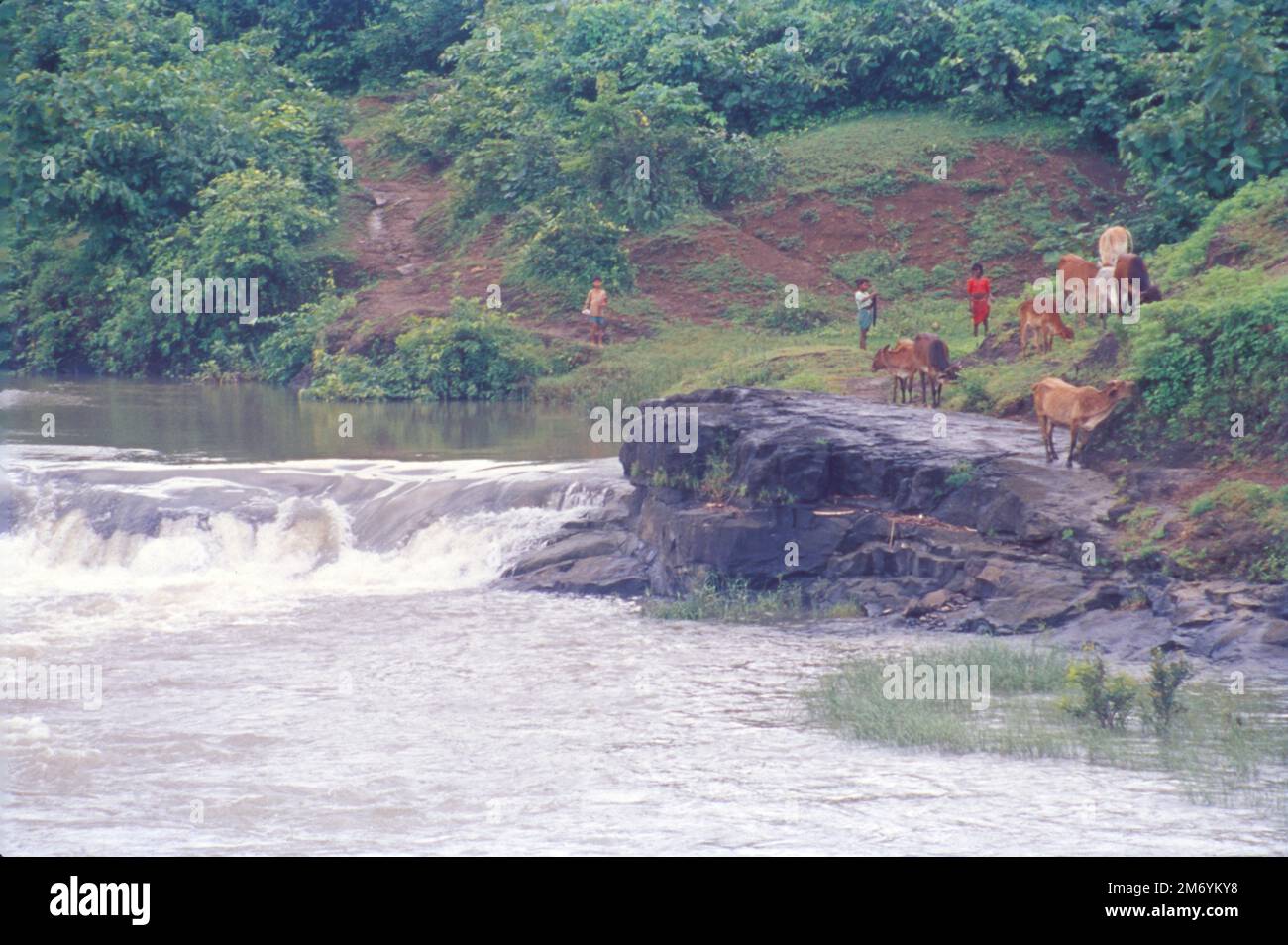 Rivulet and Water Fall Near Vapi, Gujrat, India Stock Photo - Alamy