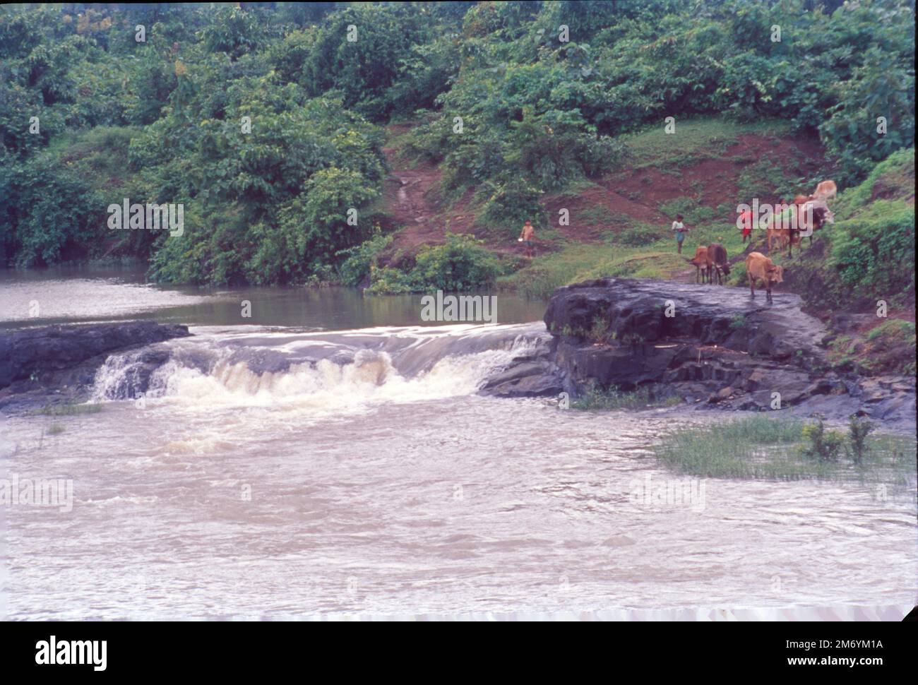 Rivulet and Water Fall Near Vapi, Gujrat, India Stock Photo - Alamy