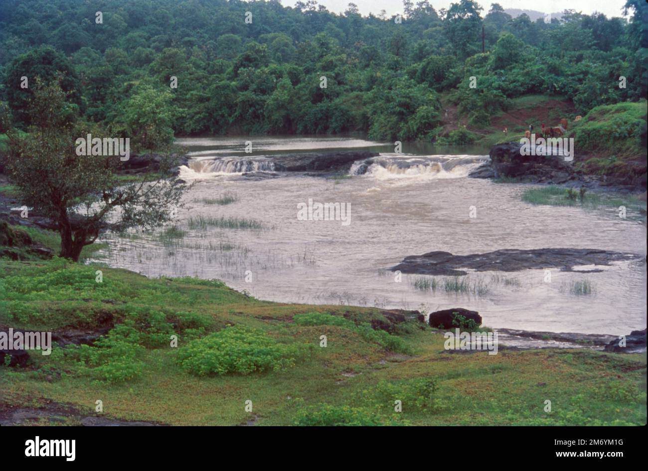 Rivulet and Water Fall Near Vapi, Gujrat, India Stock Photo - Alamy