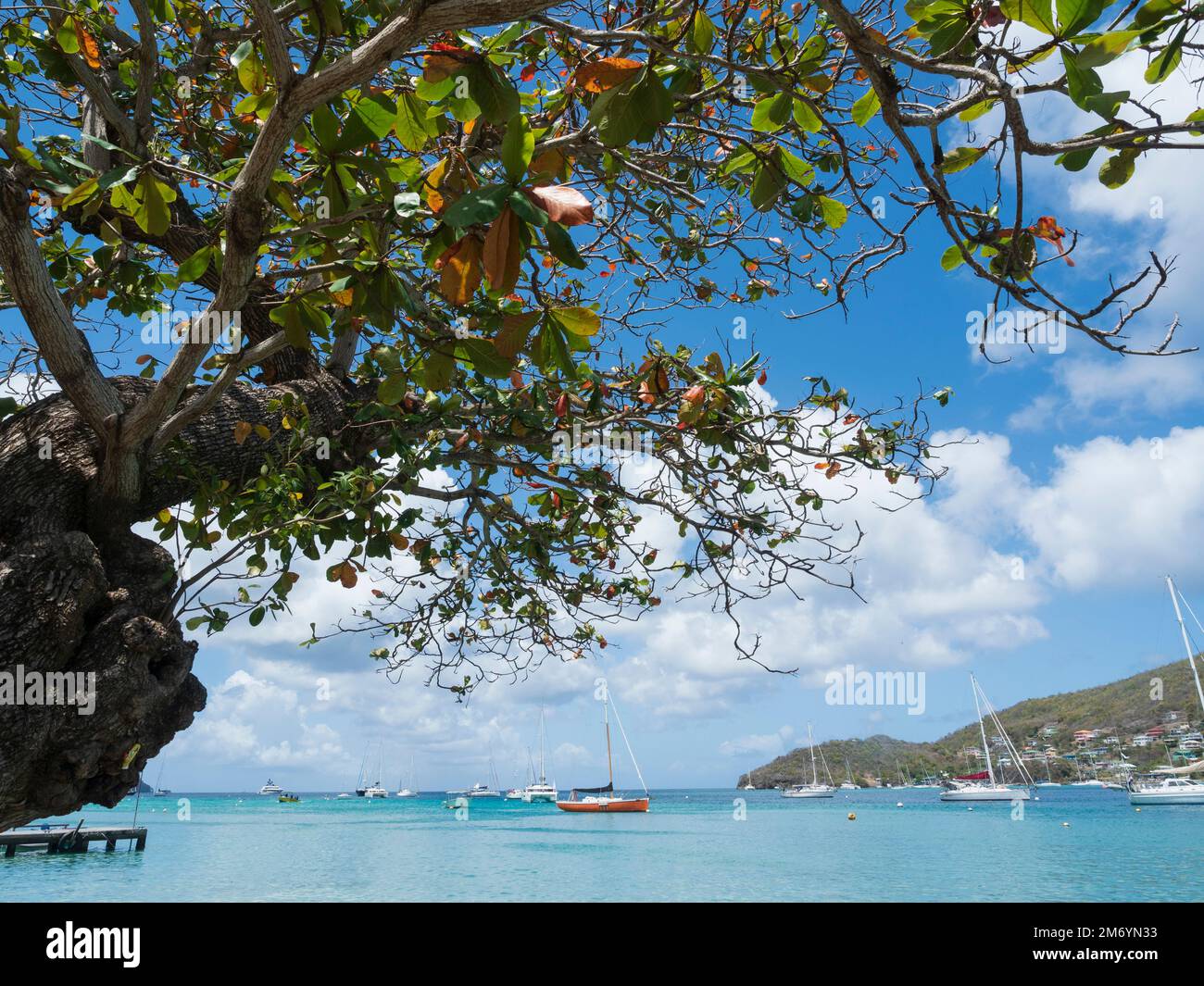 Bequia, Admiralty Bay, Port Elizabeth Stock Photo - Alamy