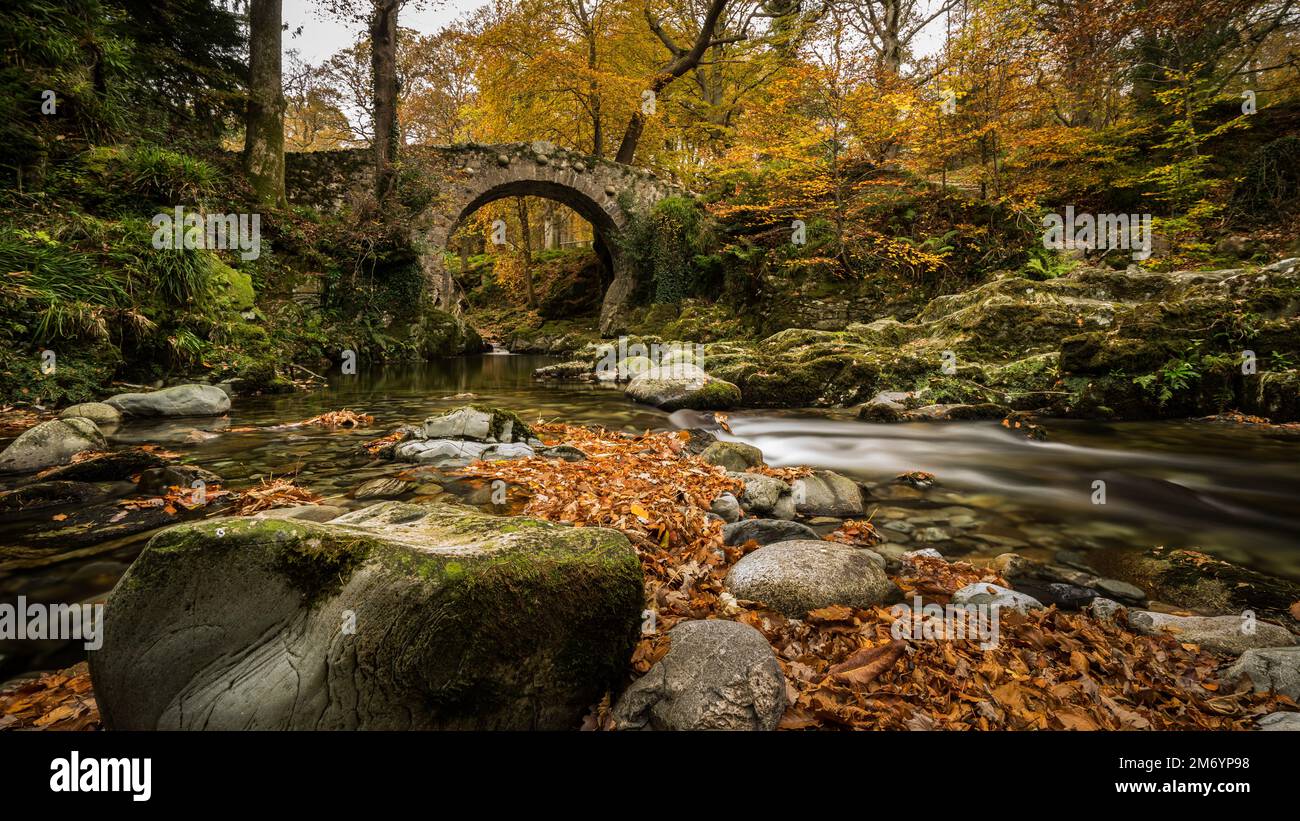 Foleys bridge, Tollymore Forest Stock Photo - Alamy