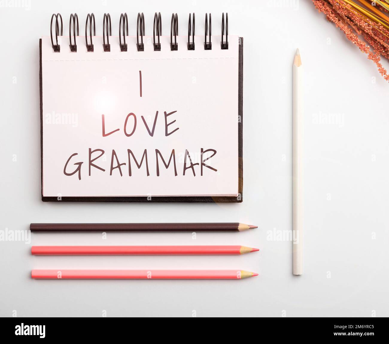 Writing displaying text I Love Grammar. Word Written on act of admiring ...