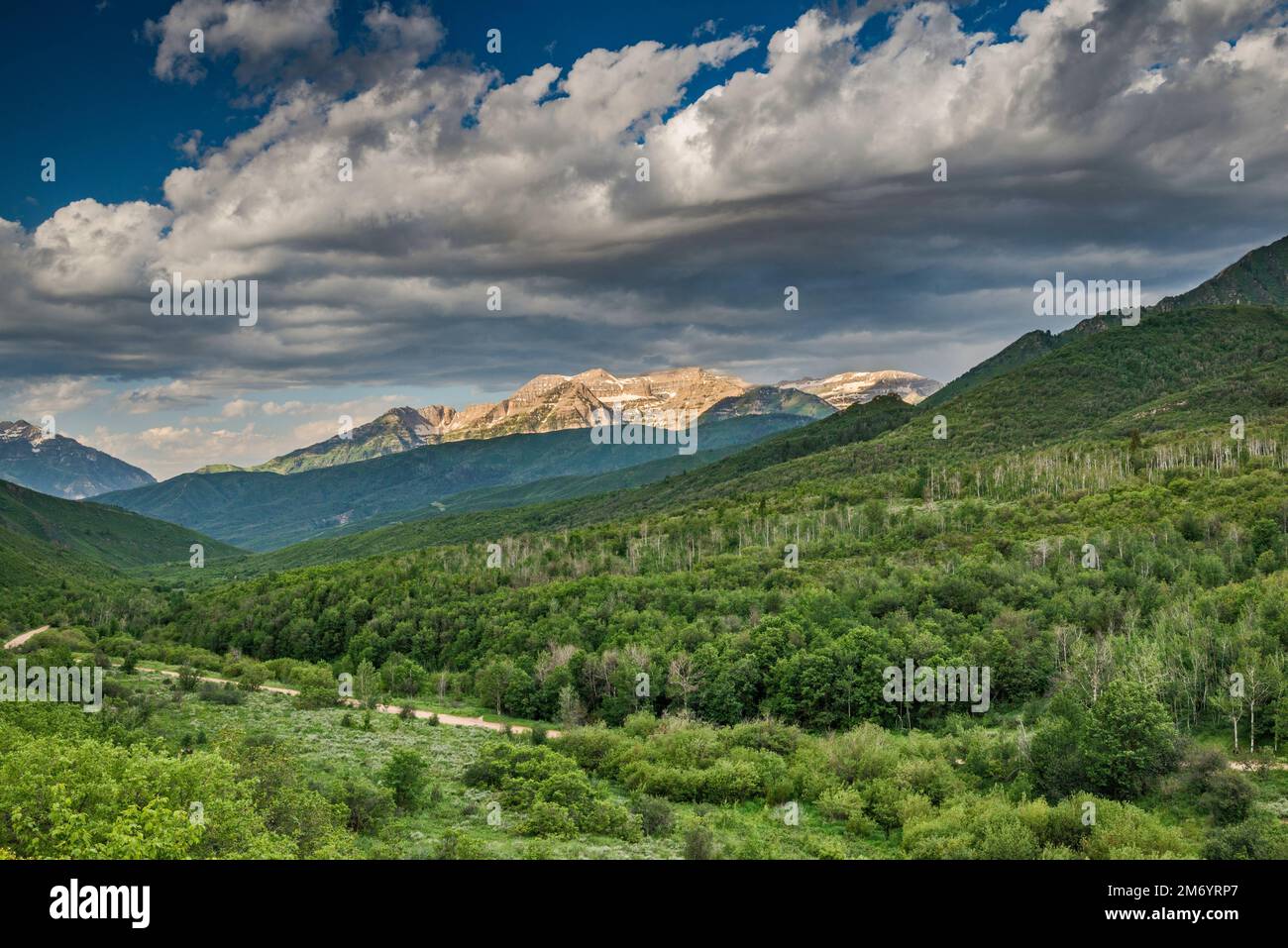 Mount Timpanogos massif, view from Cummings Parkway jeep trail, over ...