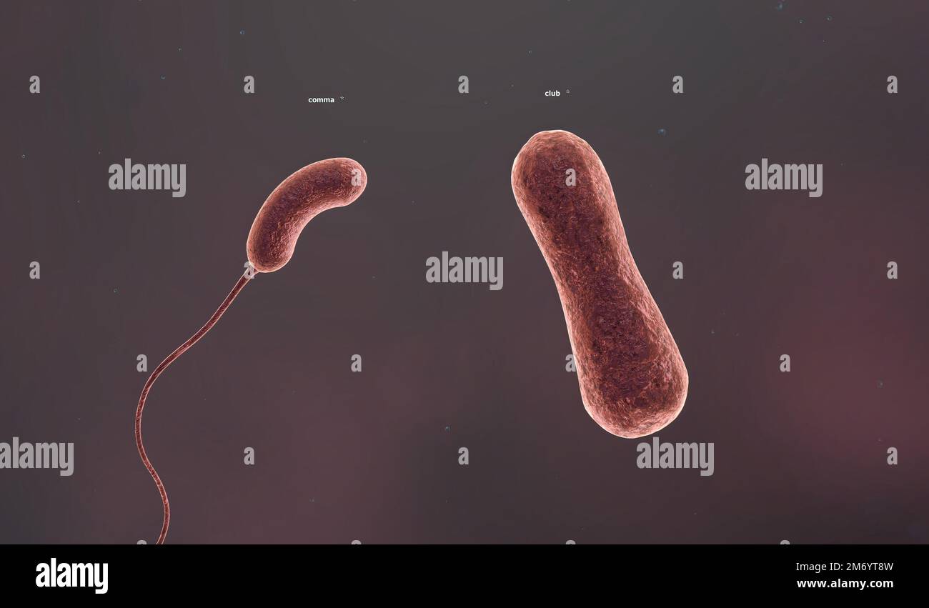 Mycoplasma infection hi-res stock photography and images - Alamy