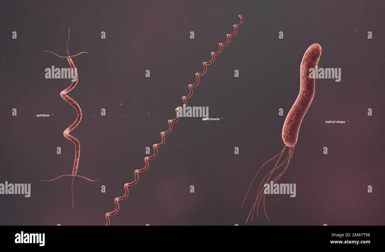Mycoplasma infection hi-res stock photography and images - Alamy
