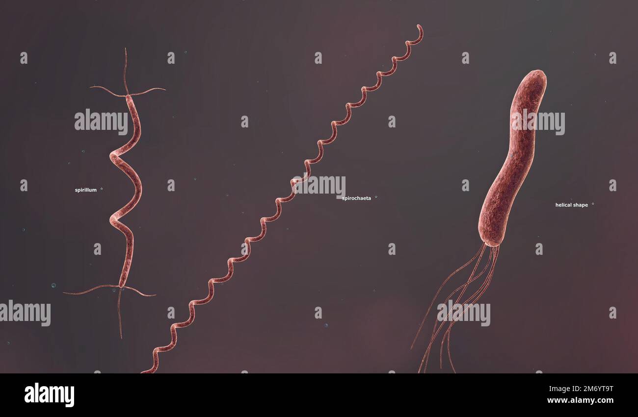 Mycoplasma infection hi-res stock photography and images - Alamy