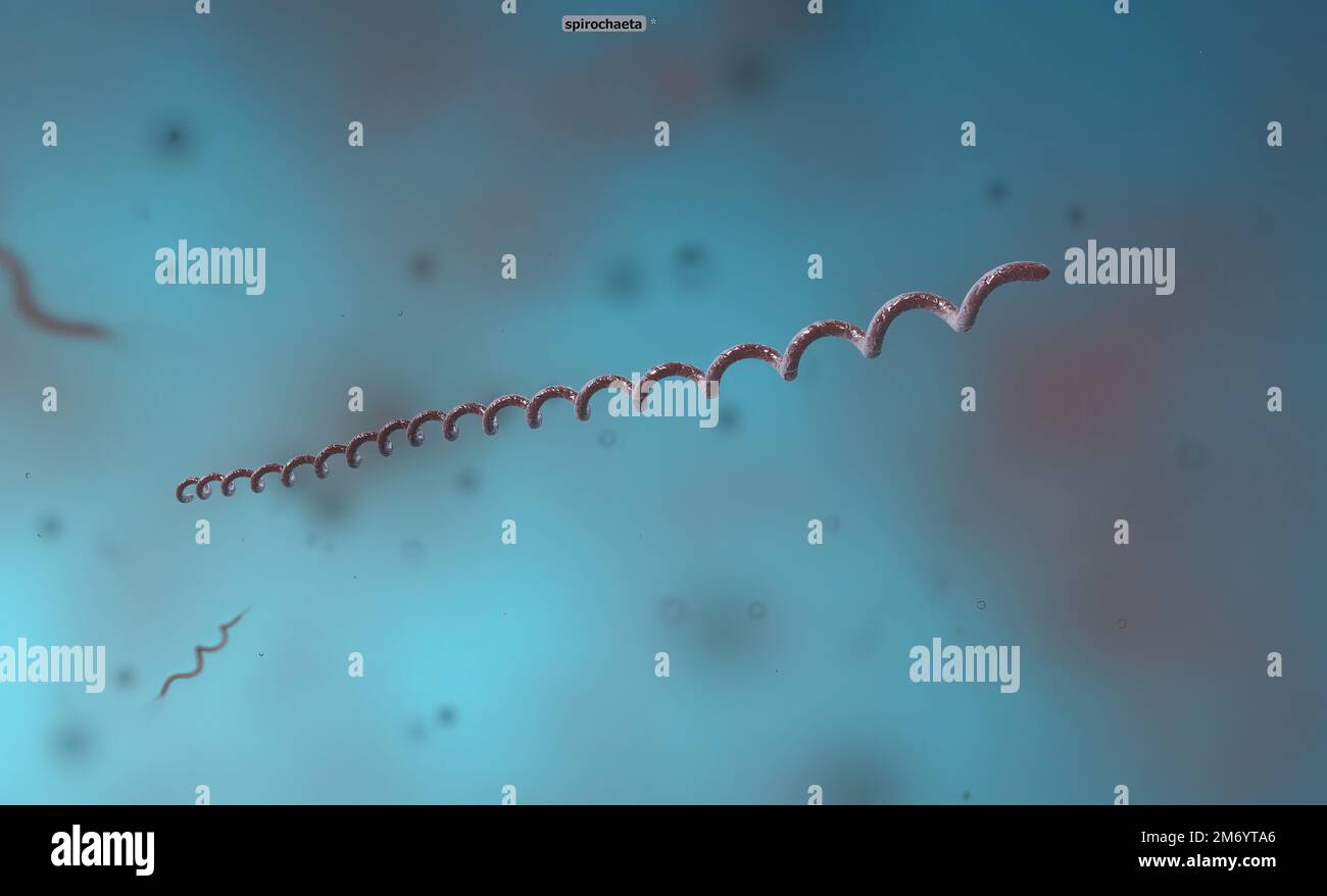 Wound bacteriology hi-res stock photography and images - Alamy