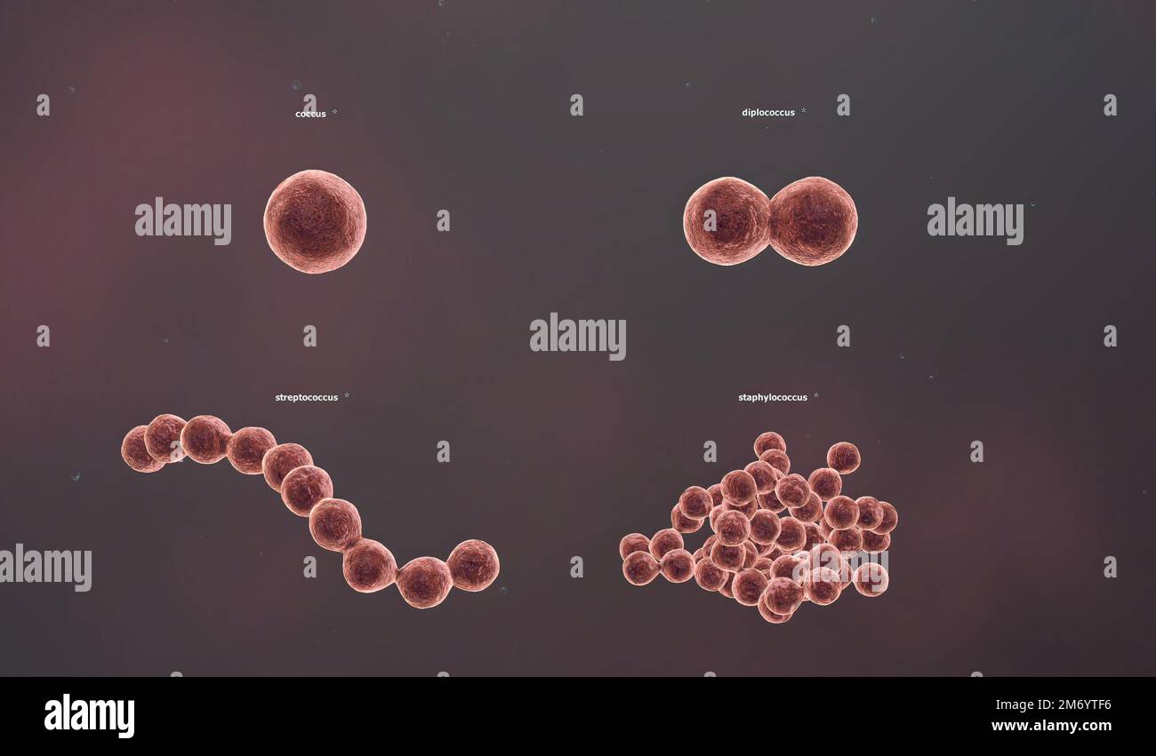 Mycoplasma infection hi-res stock photography and images - Alamy
