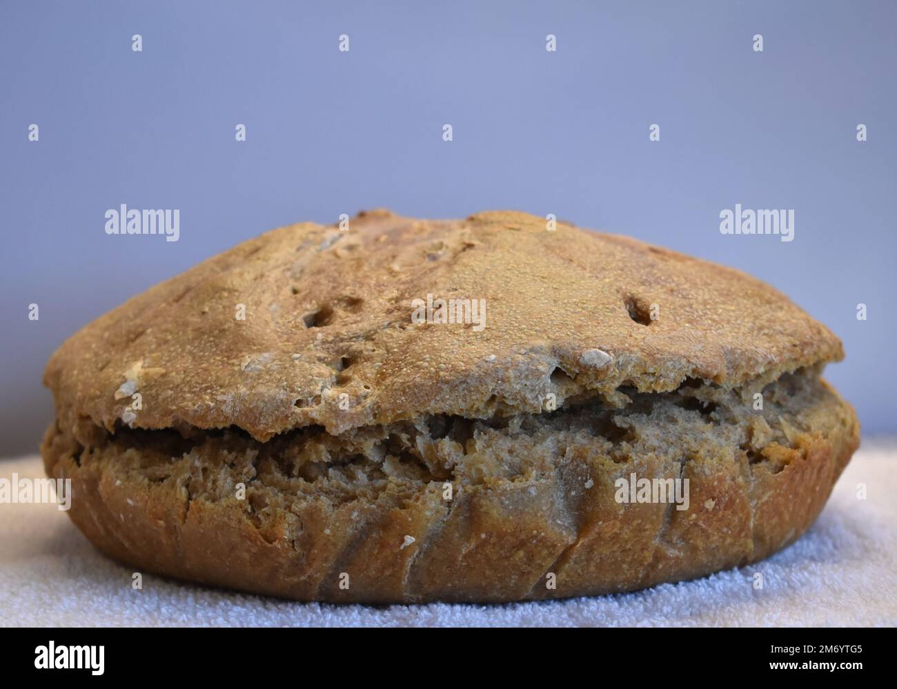 Isolated Homemade Organic Rye Sourdough Baked Round Loaf Bread Monster ...