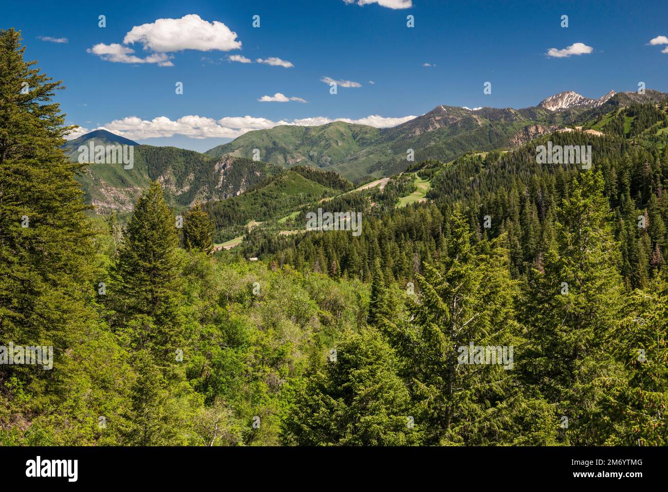 North Fork Ridge, Wasatch Range, view from Alpine Scenic Highway (Utah ...