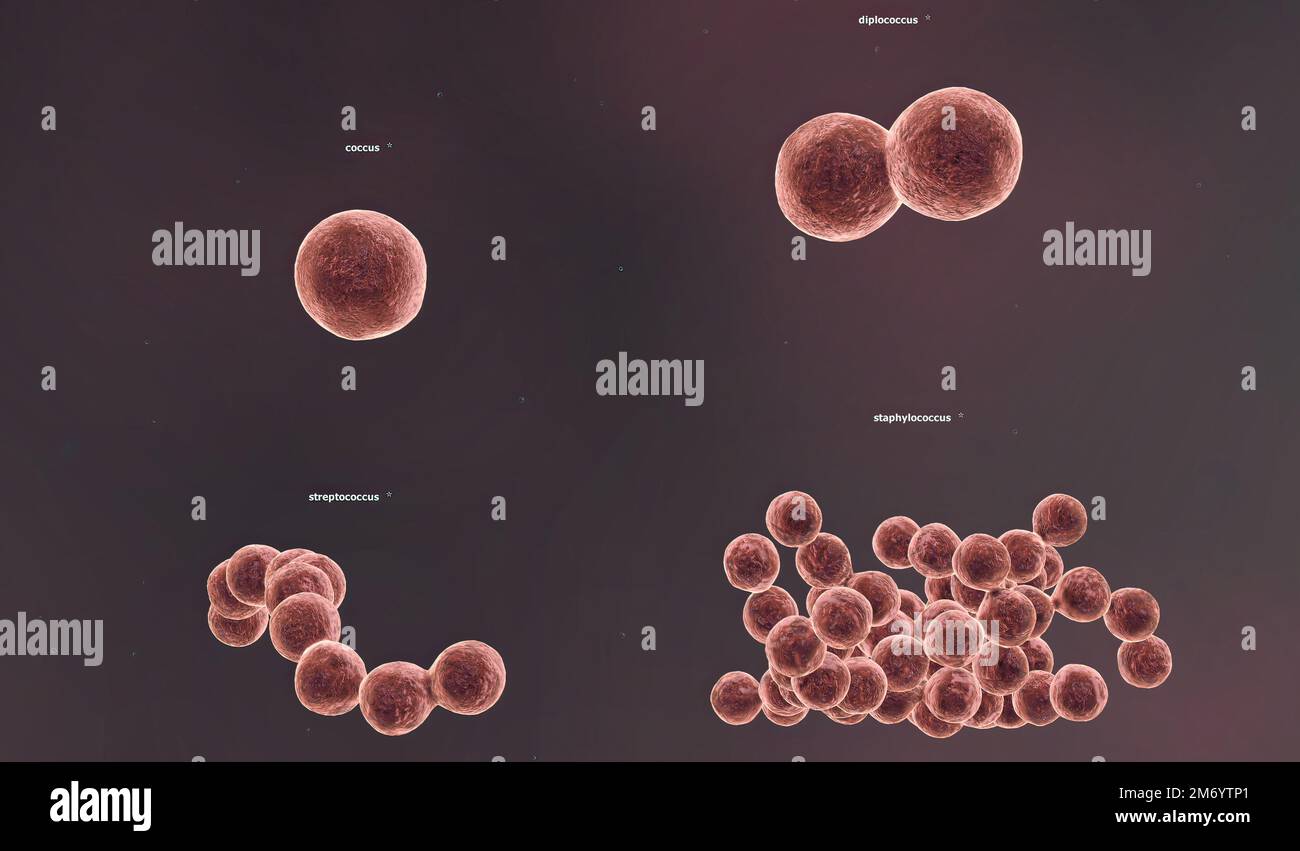 Mycoplasma bacteria hi-res stock photography and images - Alamy