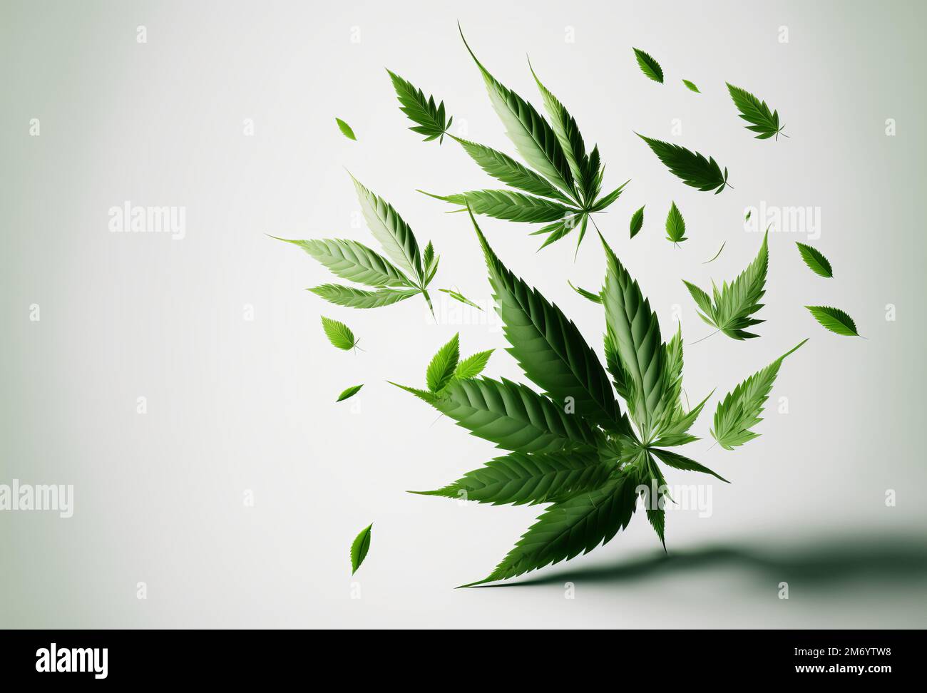 Ai indica hi-res stock photography and images - Alamy