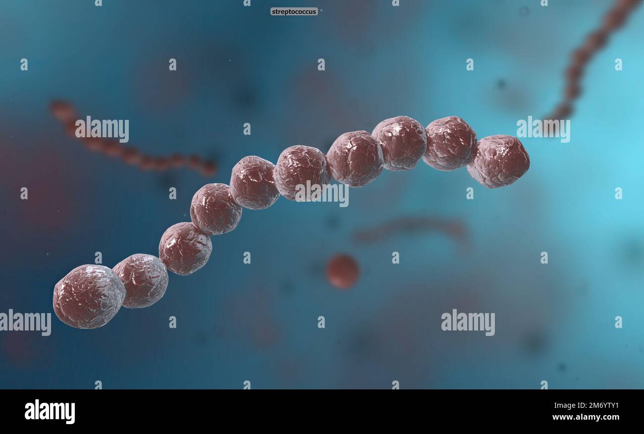 Spiral shaped bacterium hi-res stock photography and images - Alamy