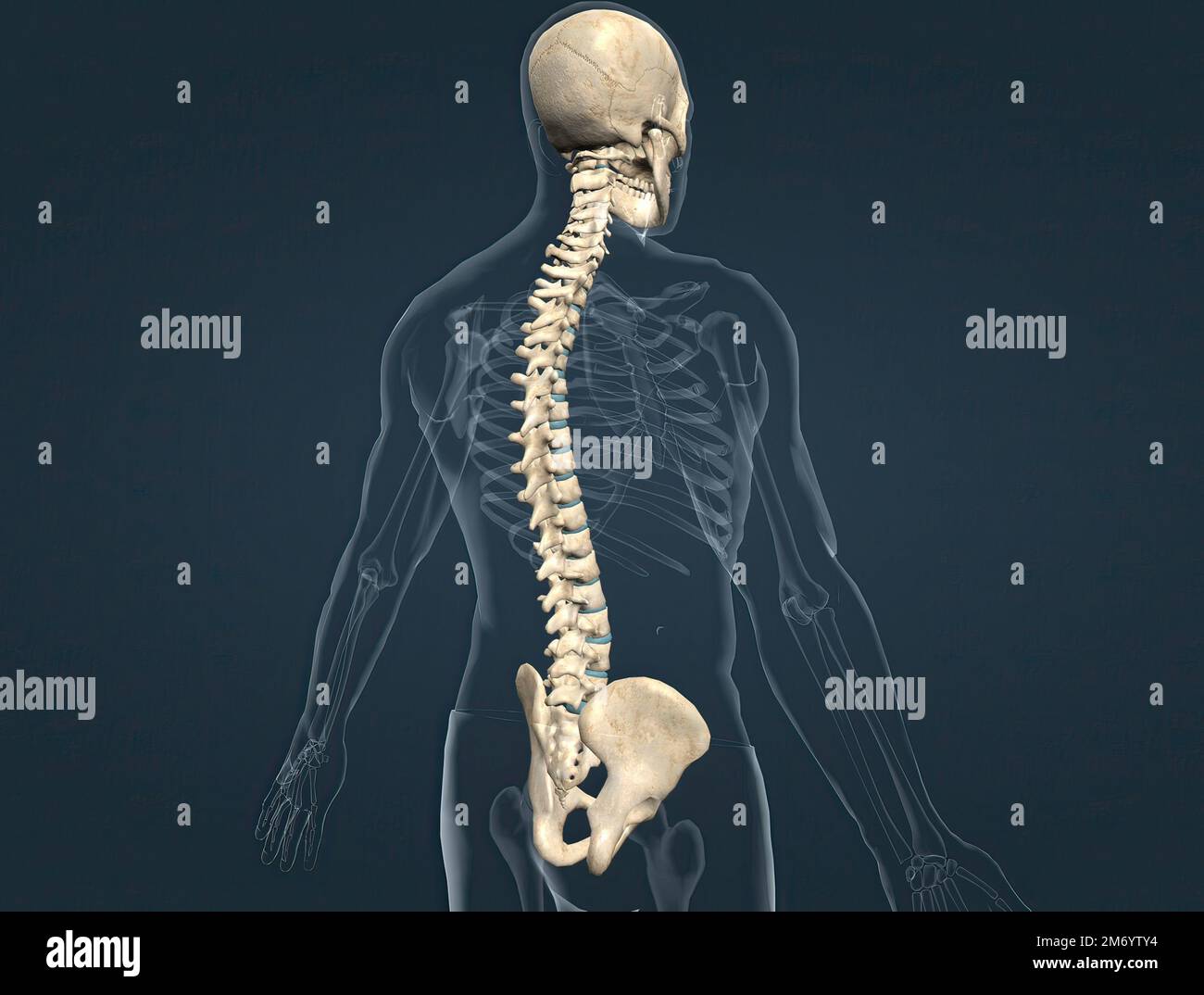 Rotating human skull hi-res stock photography and images - Alamy