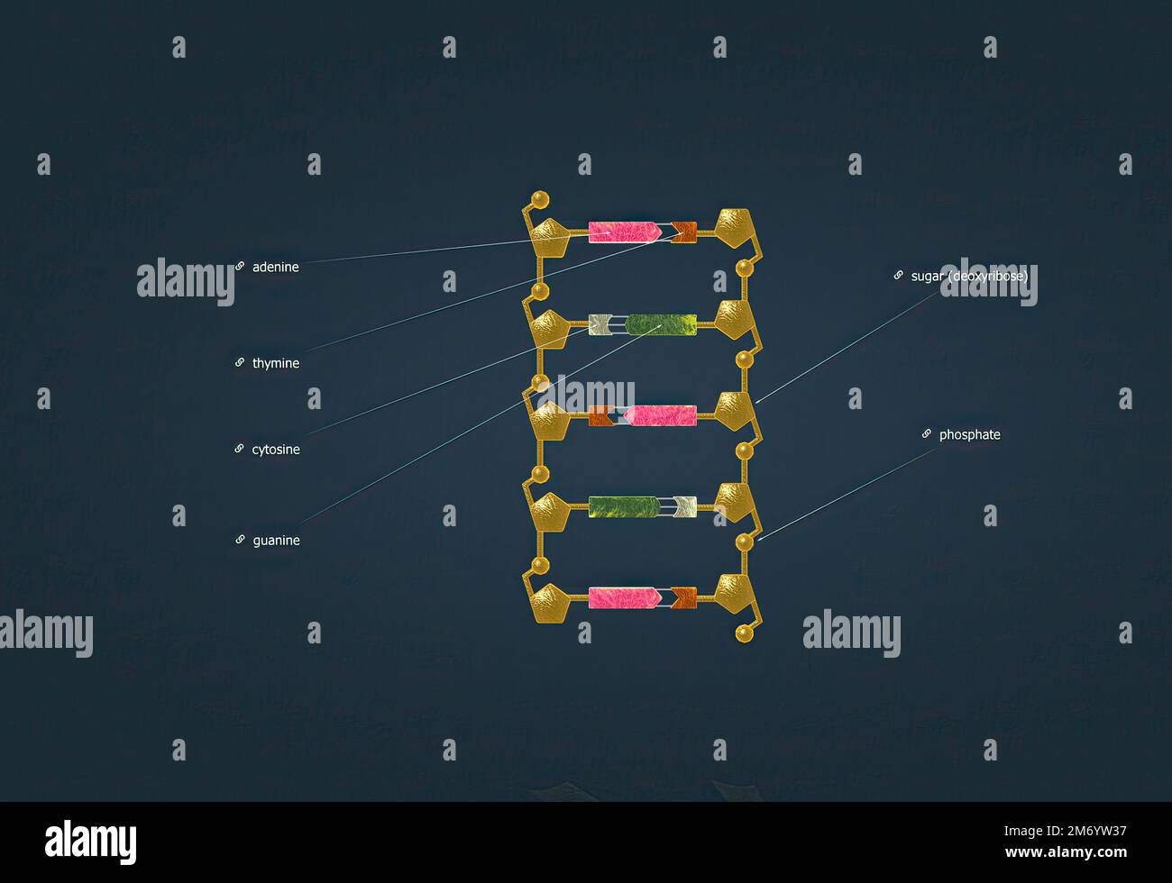 Histone molecules hi-res stock photography and images - Alamy