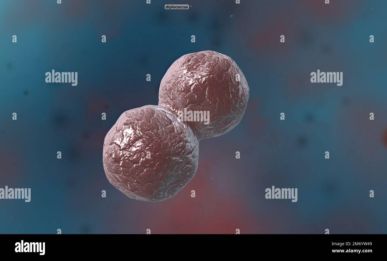 Cocci shape hi-res stock photography and images - Alamy
