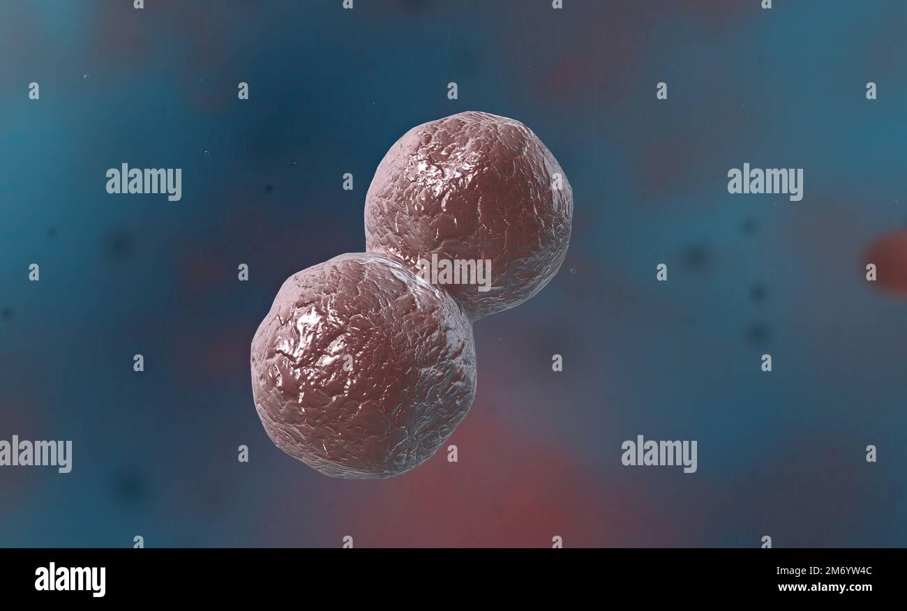 Spiral shaped bacterium hi-res stock photography and images - Alamy