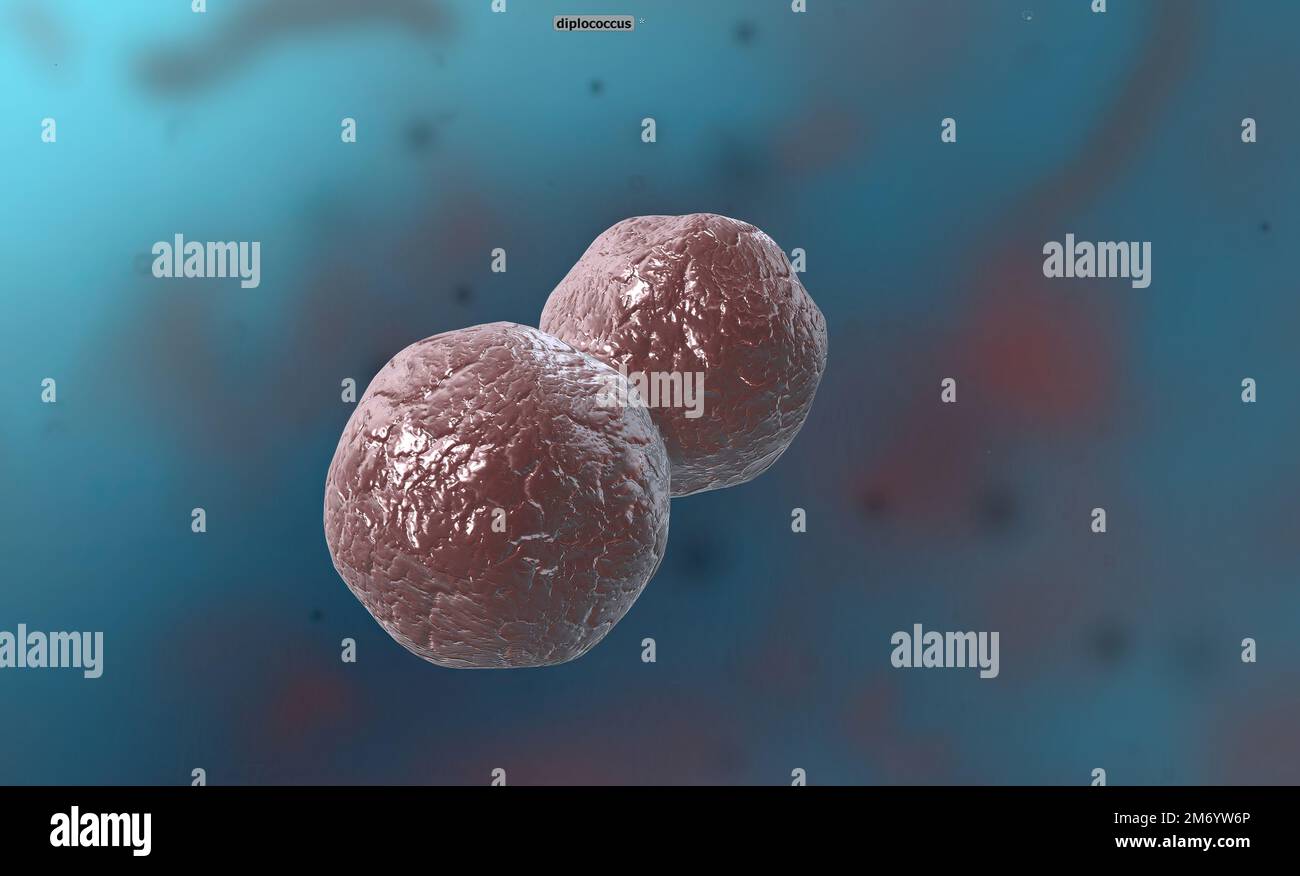 Spiral shaped bacterium hi-res stock photography and images - Alamy