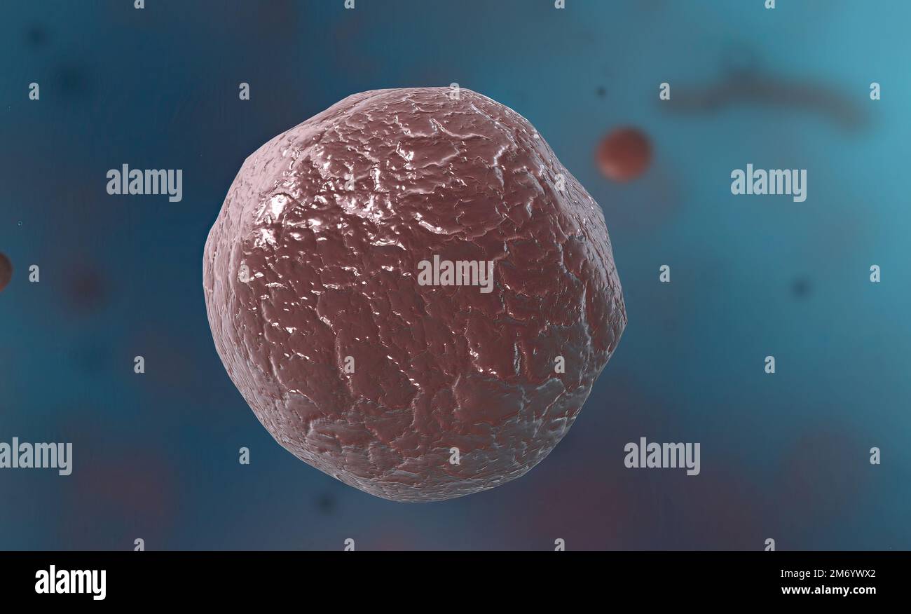 Spiral shaped bacterium hi-res stock photography and images - Alamy