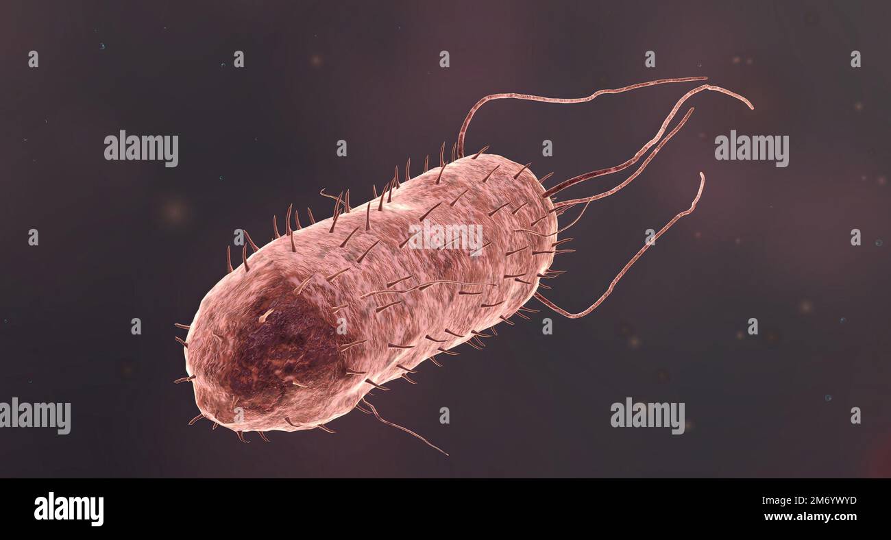 Wound bacteriology hi-res stock photography and images - Alamy