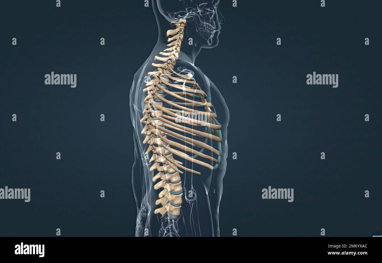 Socket fusion hi-res stock photography and images - Alamy