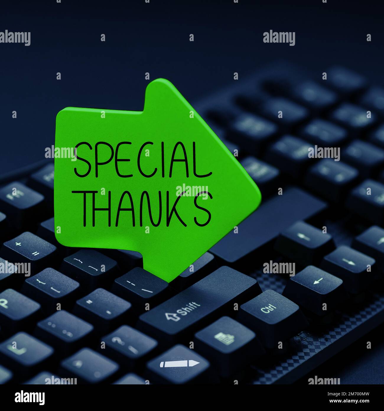 Writing displaying text Special Thanks. Business concept expression of appreciation or gratitude ...